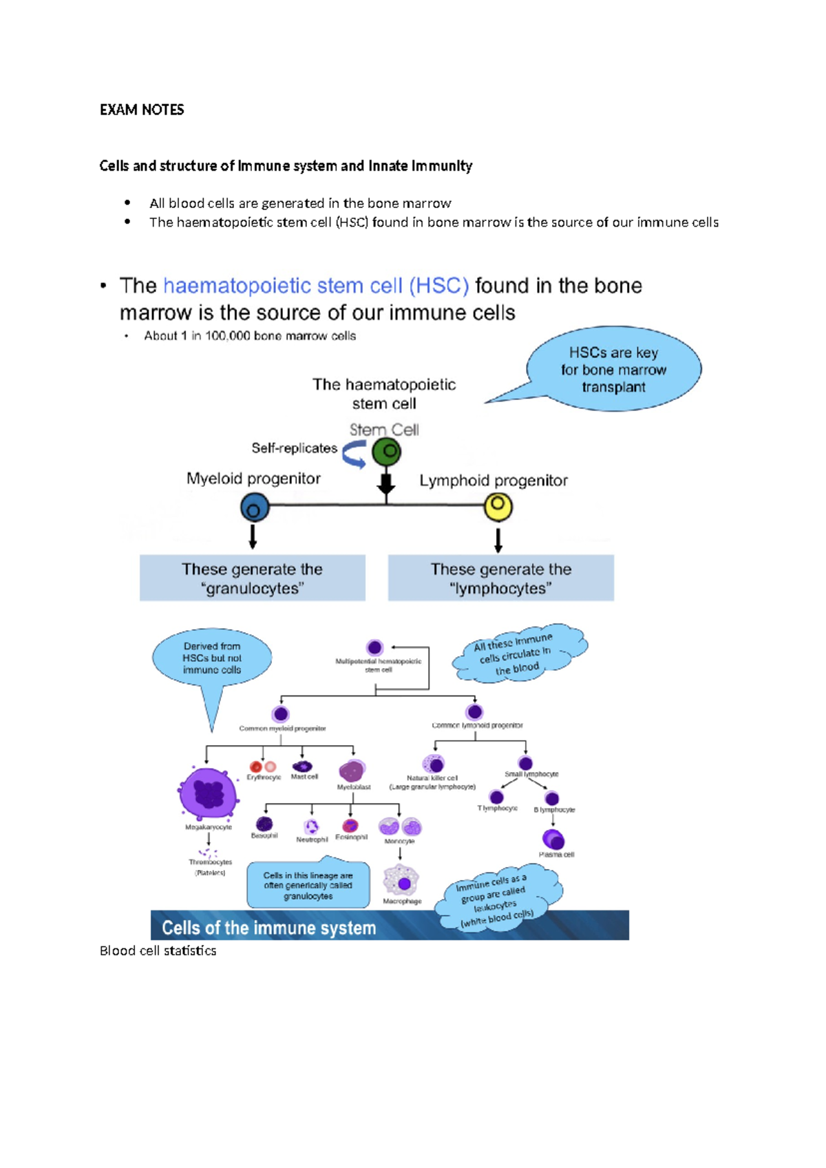 Imm notes copy - EXAM NOTES Cells and structure of immune system and ...