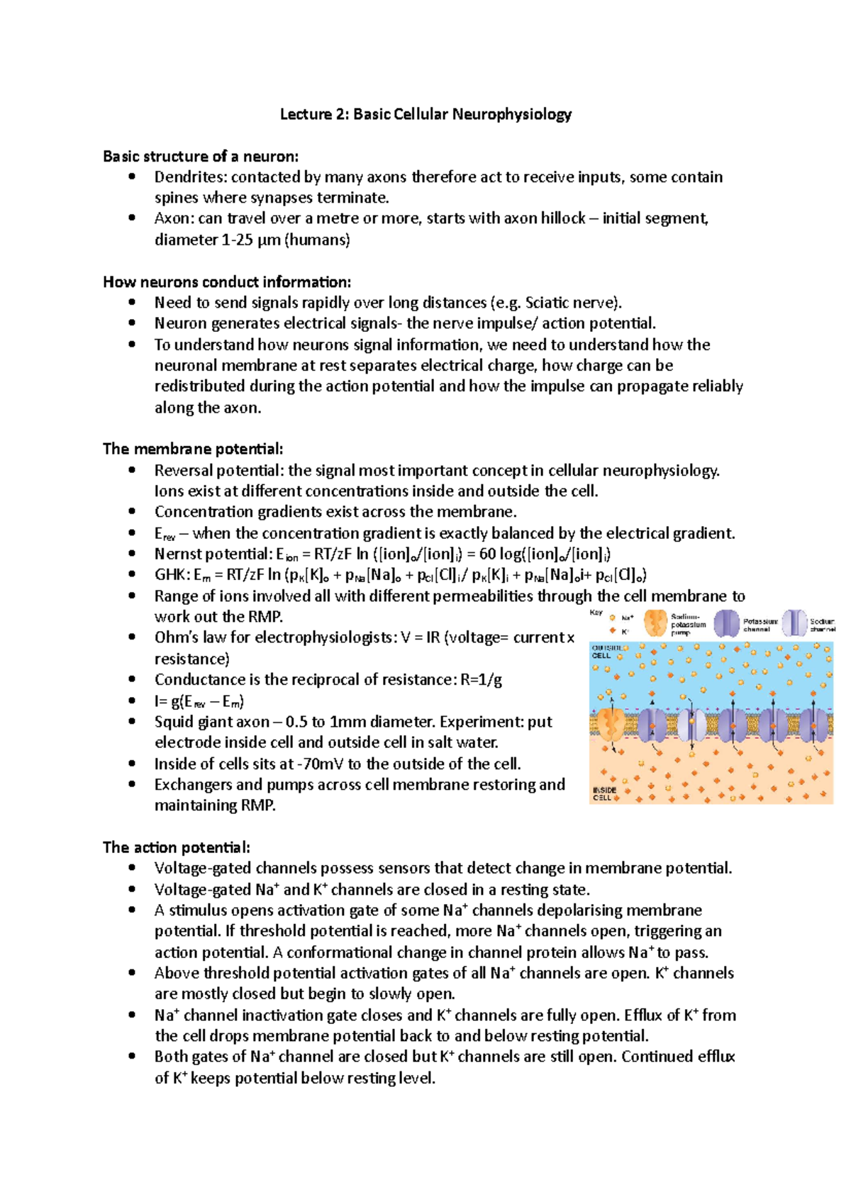 Lecture 2 - Basic cellular neurophysiology - Lecture 2: Basic Cellular ...
