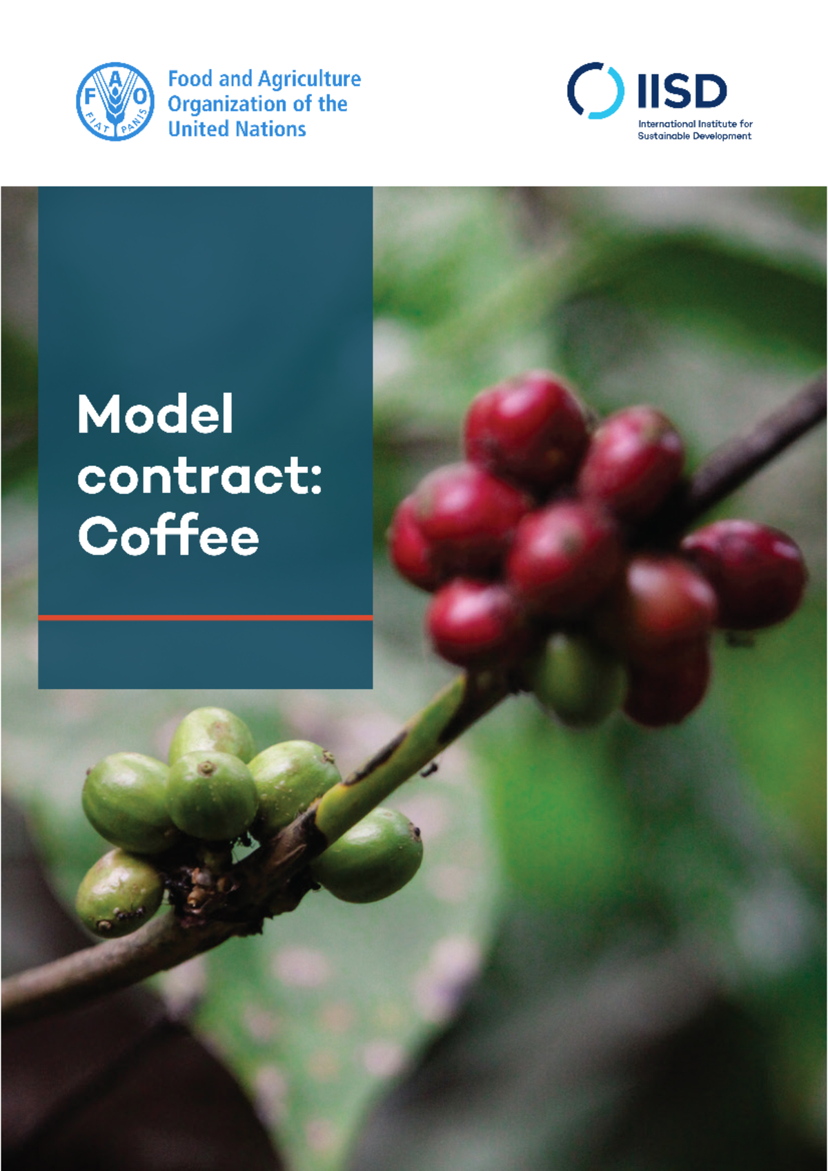 Contract farming template coffee - Model contract: Coffee 1 1 THE ...