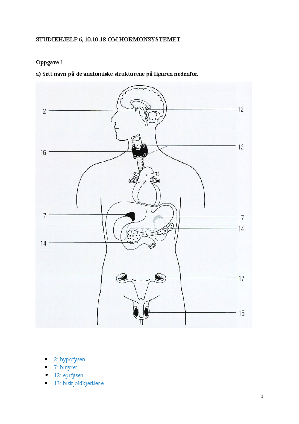 Studiehjelp - Hormonsystemet - STUDIEHJELP 6, 10.10 OM HORMONSYSTEMET ...