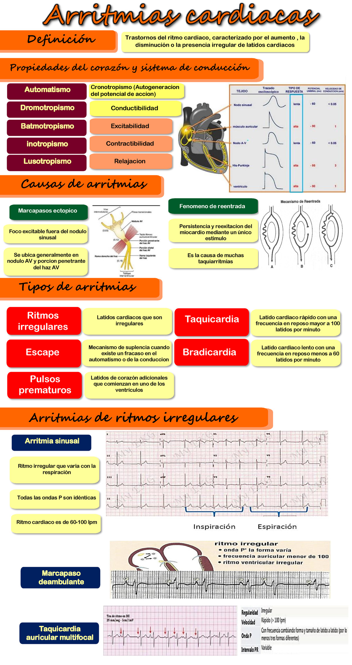 Arritmias Cardiacas - Arritmias cardiacas Trastornos del ritmo cardiaco ...