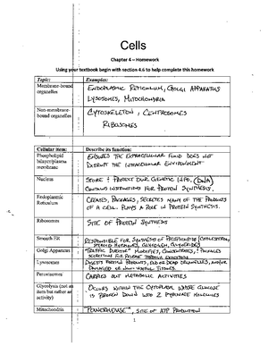 Blood Vessels & Lymphatic System Lab HW 220 - Lab Homework Assignment ...