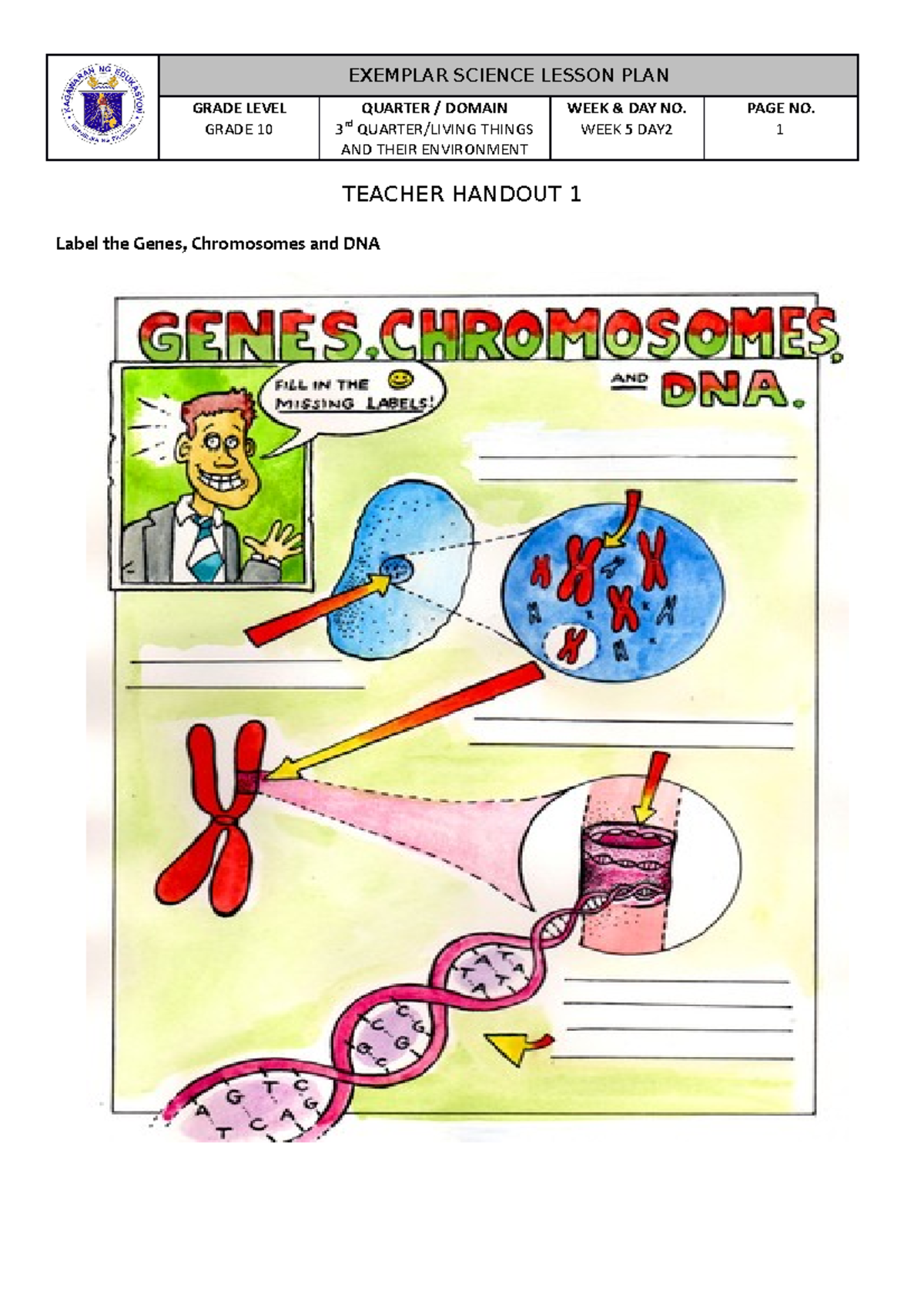 Activity Sheets for Changes IN Chromosome Number - GRADE LEVEL GRADE 10 ...