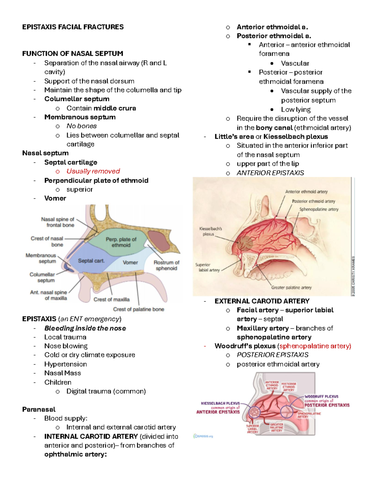 Epistaxis Facial Fractures - EPISTAXIS FACIAL FRACTURES FUNCTION OF ...