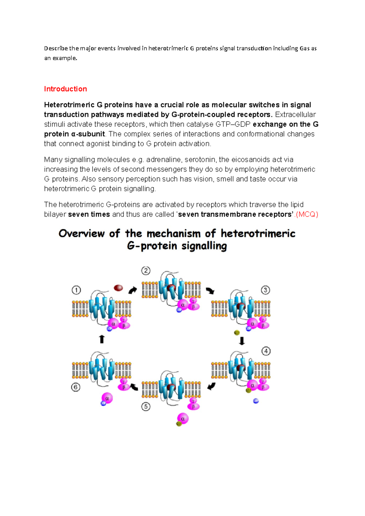 Heterotrimeric G proteins - Introduction Heterotrimeric G proteins have ...