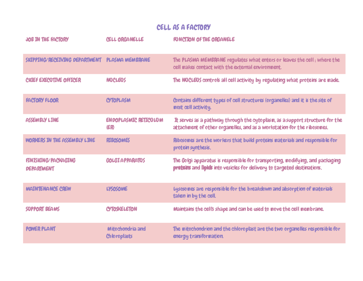 CELL AS A Factory - CELL AS A FACTORY JOB IN THE FACTORY CELL ORGANELLE FUNCTION OF THE ORGANELE ...