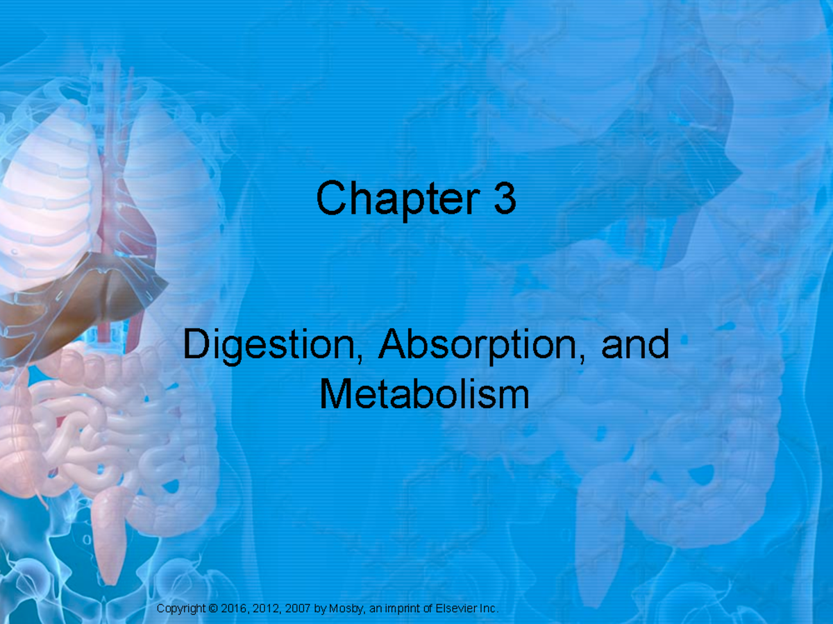 Chapter 3 Digestion nutrition - Digestion, Absorption, and Metabolism ...