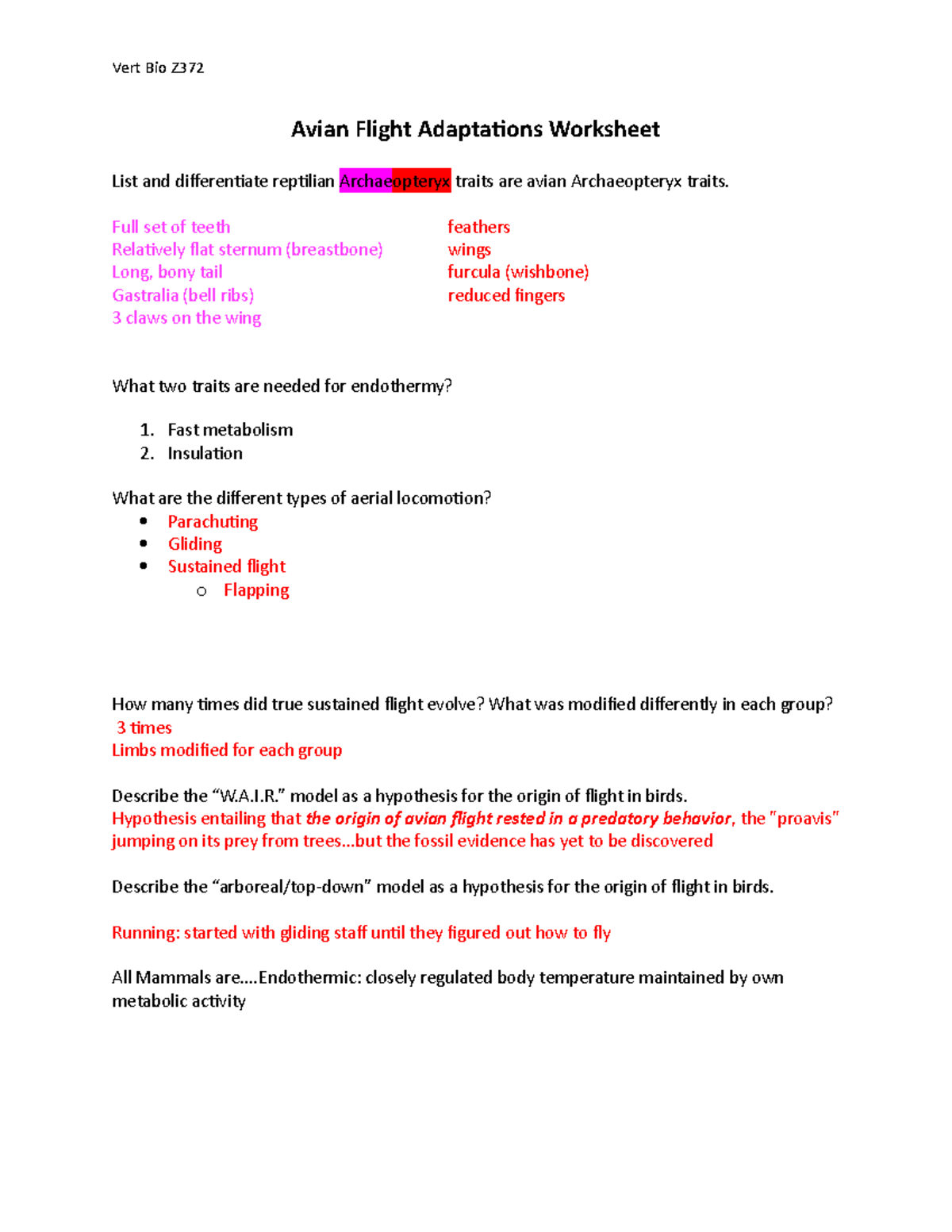 Flight worksheet Student - Avian Flight Adaptations Worksheet List and ...