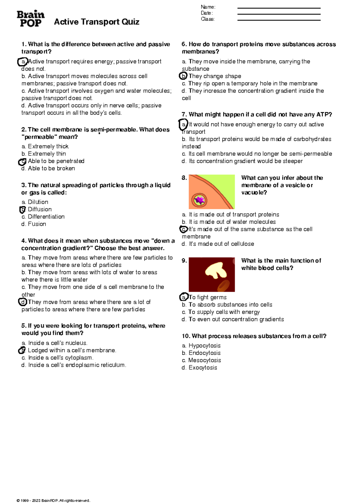 Josue Almeda - Cellular Life and Genetics - Active Transport - Active ...