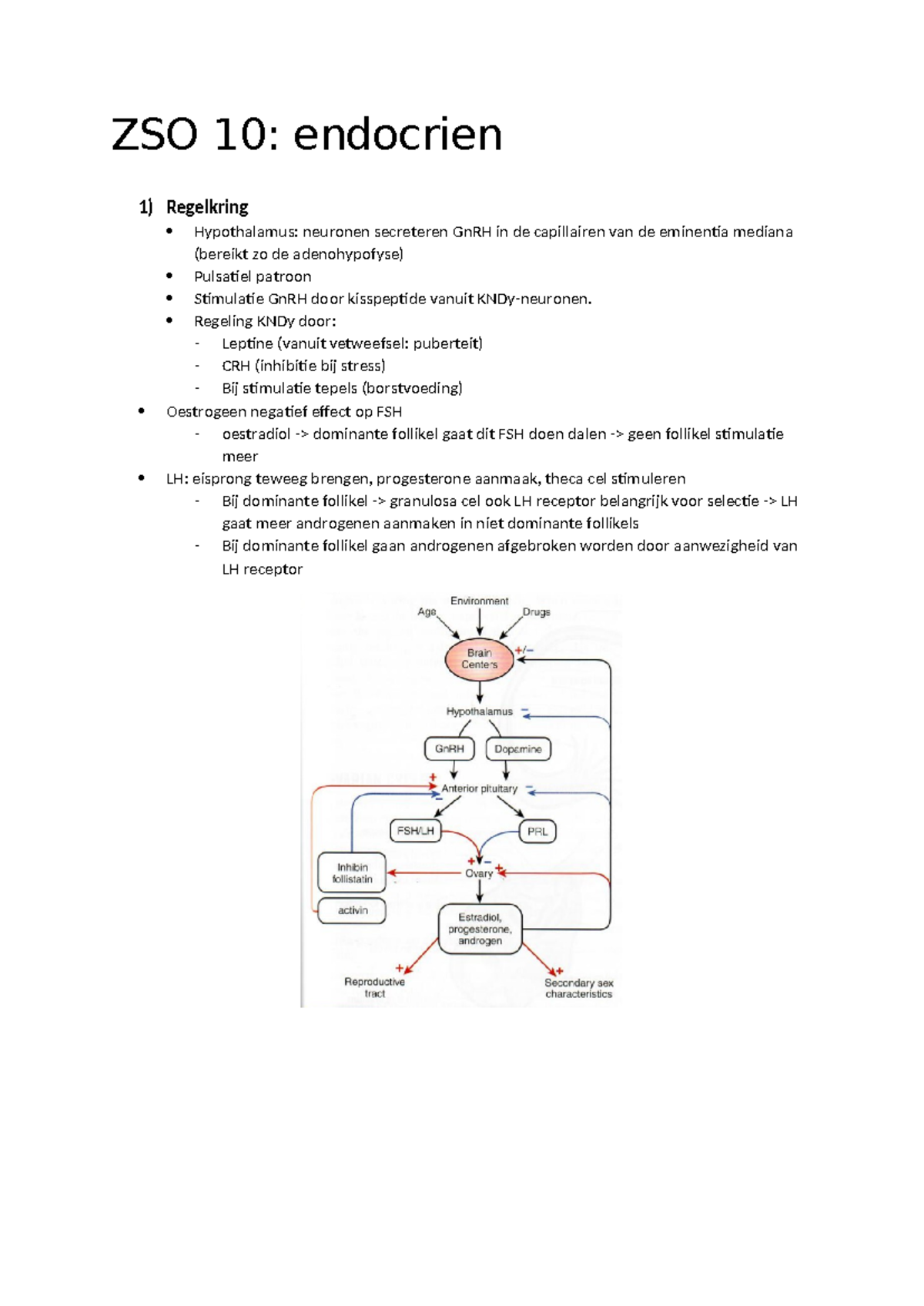 ZSO 10 - endo - ZSO 10: endocrien 1) Regelkring Hypothalamus: neuronen ...