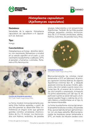 Fotoautótrofos - Apuntes 4 - FOTOAUTÓTROFOS Los organismos ...