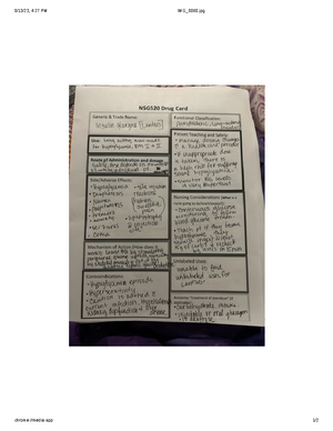 IDS 100 Lenses Chart Template - IDS 100 Project 1: Lenses Chart ...