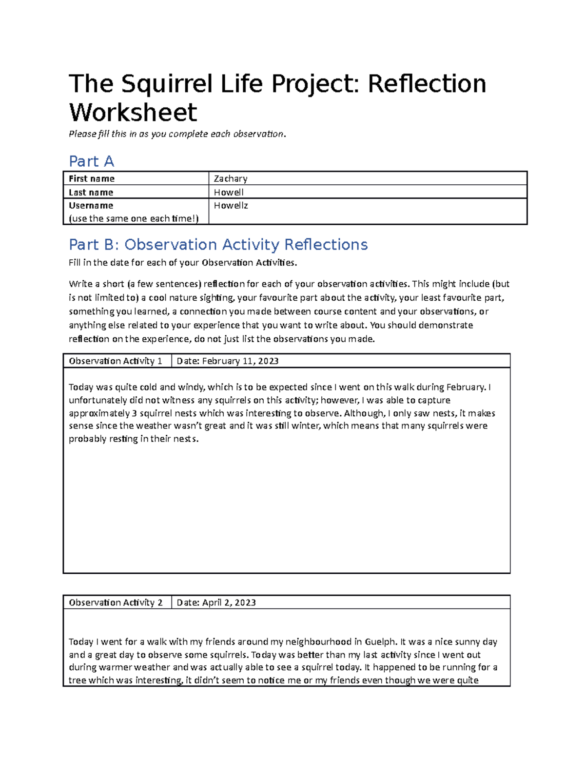 Squirrel Life Project Reflection Worksheet W23 - The Squirrel Life ...