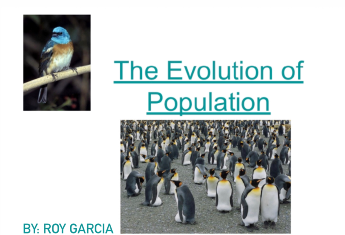 The evolution of population - Studocu