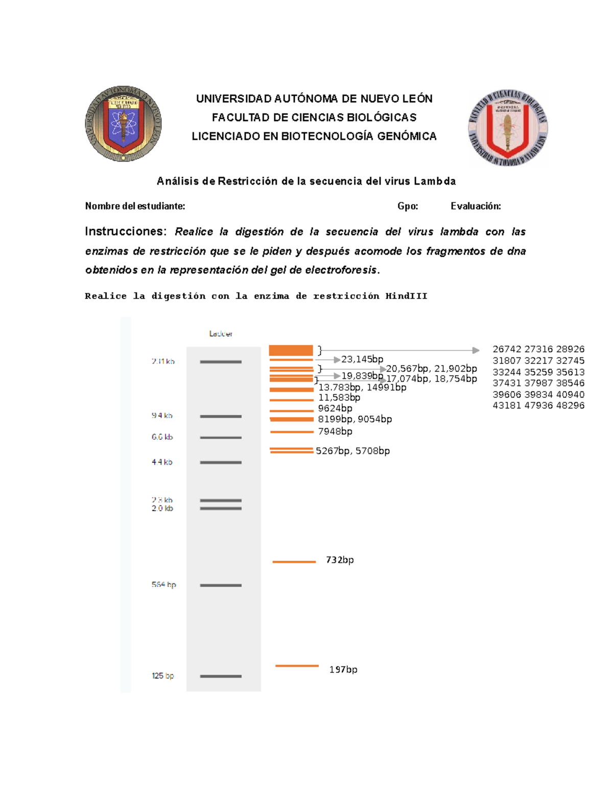 Xcode 2 Programacion Orientada Uvm