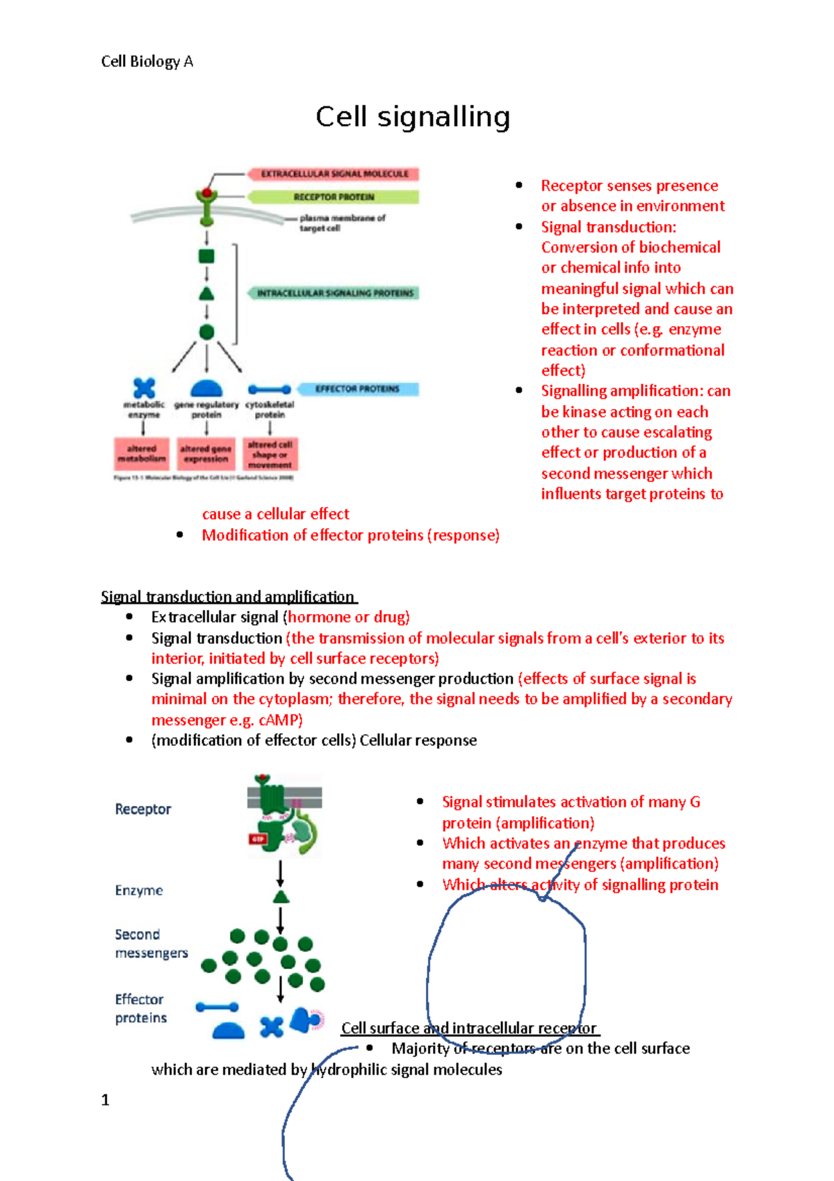 Cell Biology A-Cell signalling pt 1 - Cell signalling Receptor senses ...