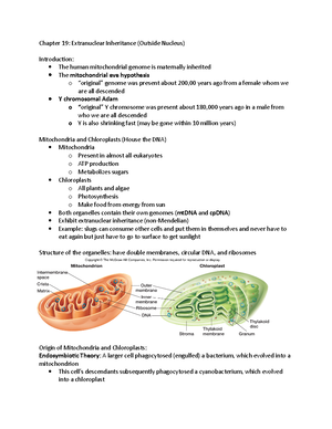 Lab 4 - Activity 3 - DNA Quantification Protocol - DNA Quantification protocol: Analysis with ...