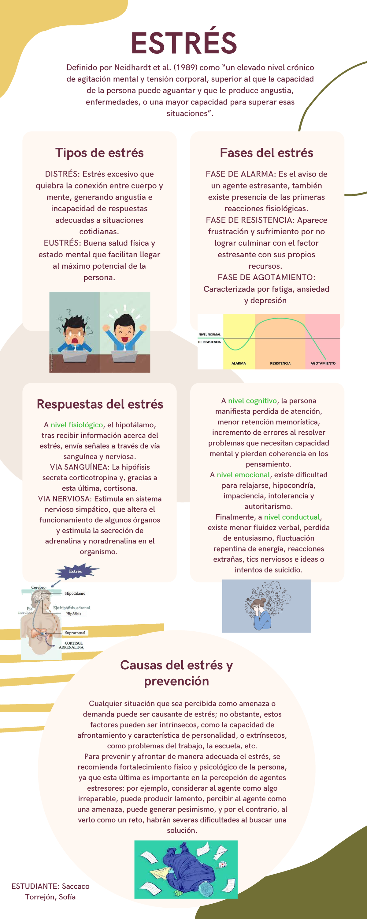Estrés infografía - A nivel cognitivo, la persona manifiesta perdida de ...