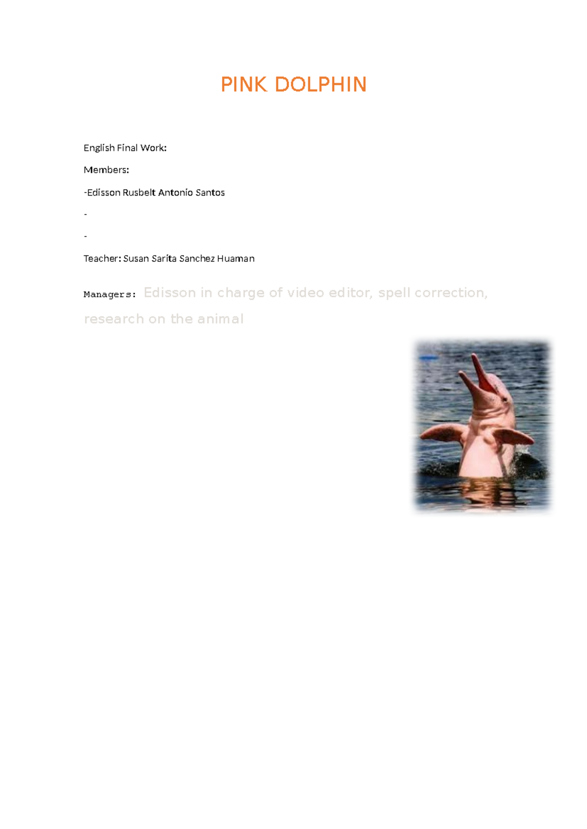 PINK Dolphin - PINK DOLPHIN English Final Work: Members: -Edisson ...