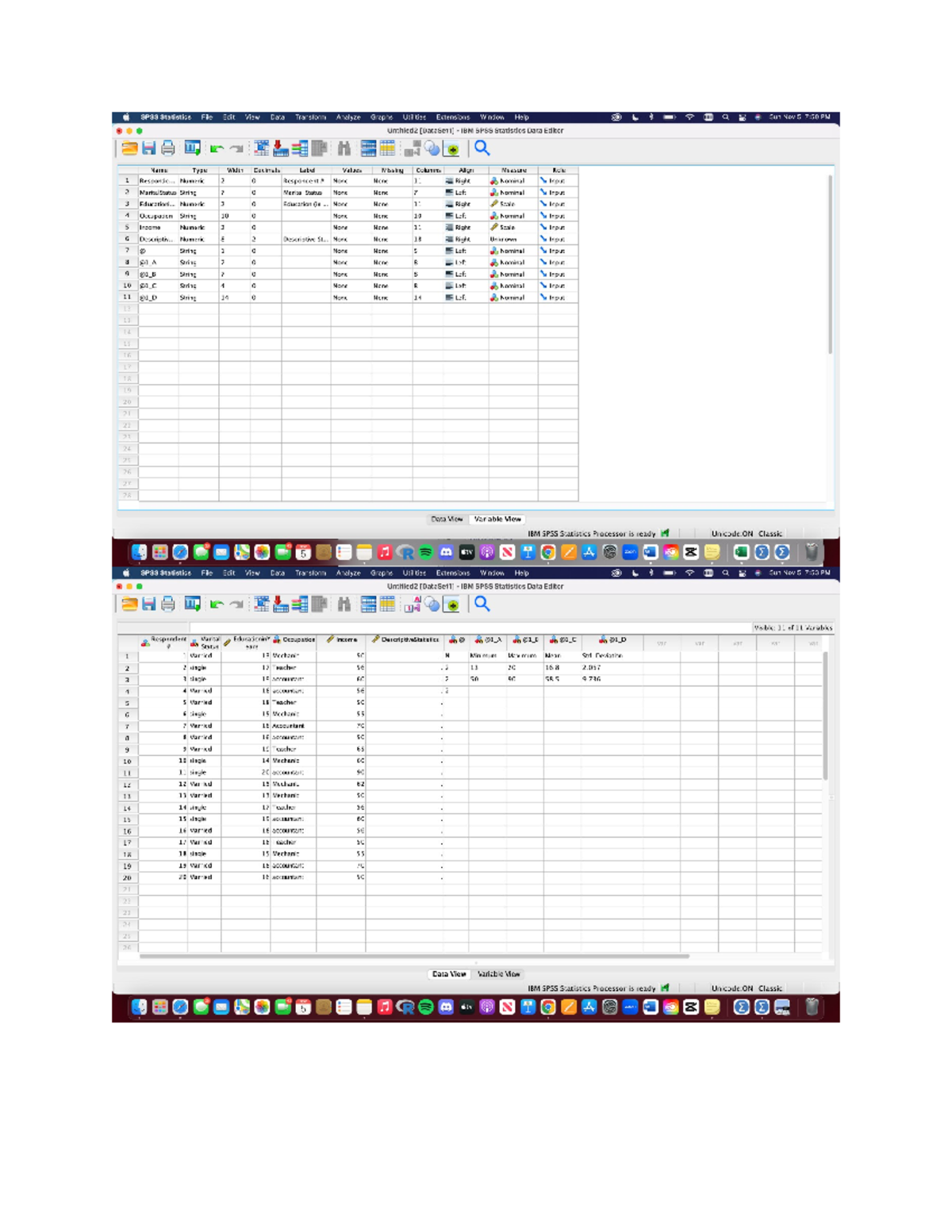 CWA 10-SPSS Descriptive Analysis - SPSS Statistics File Edit View Data Transform Analyze Graphs ...