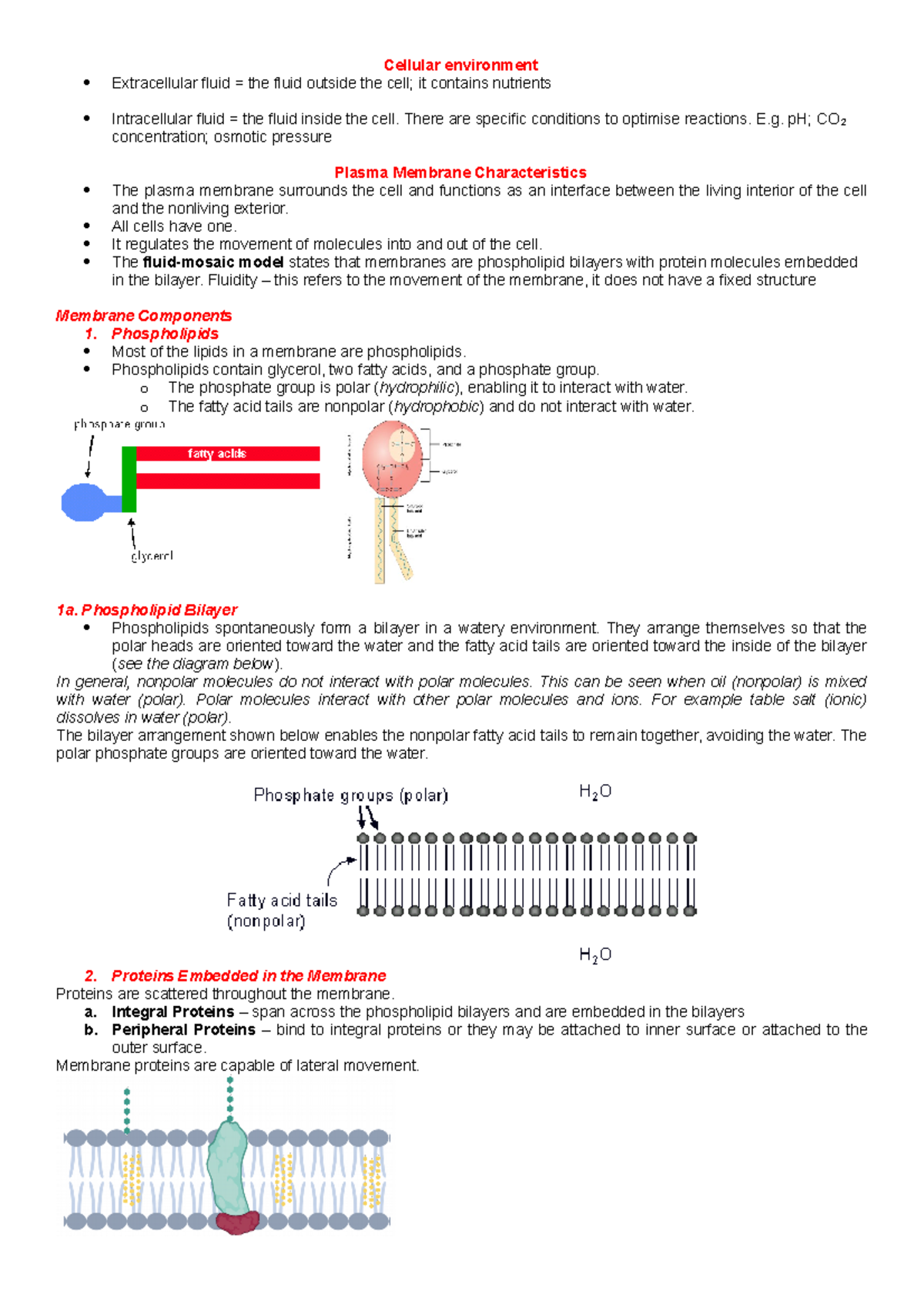 Plasma Membrane and Movement notes 2022 - Cellular environment ...