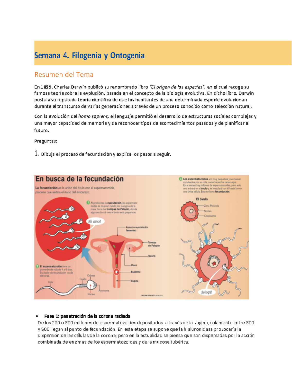 Semana 4. Filogenia y Ontogenia - Resumen del Tema En 1859, Charles ...