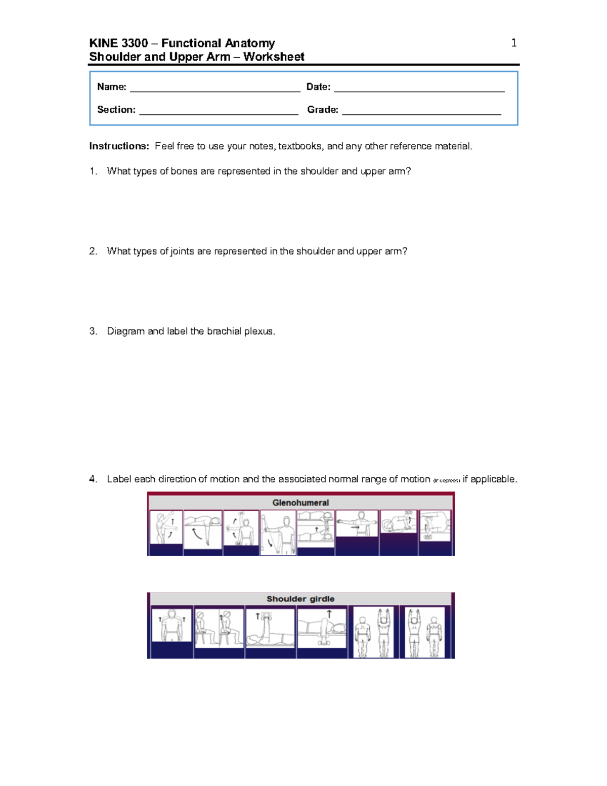 Worksheet - Shoulder-Upper Arm (PDF Format) - KINE 3300 – Functional ...