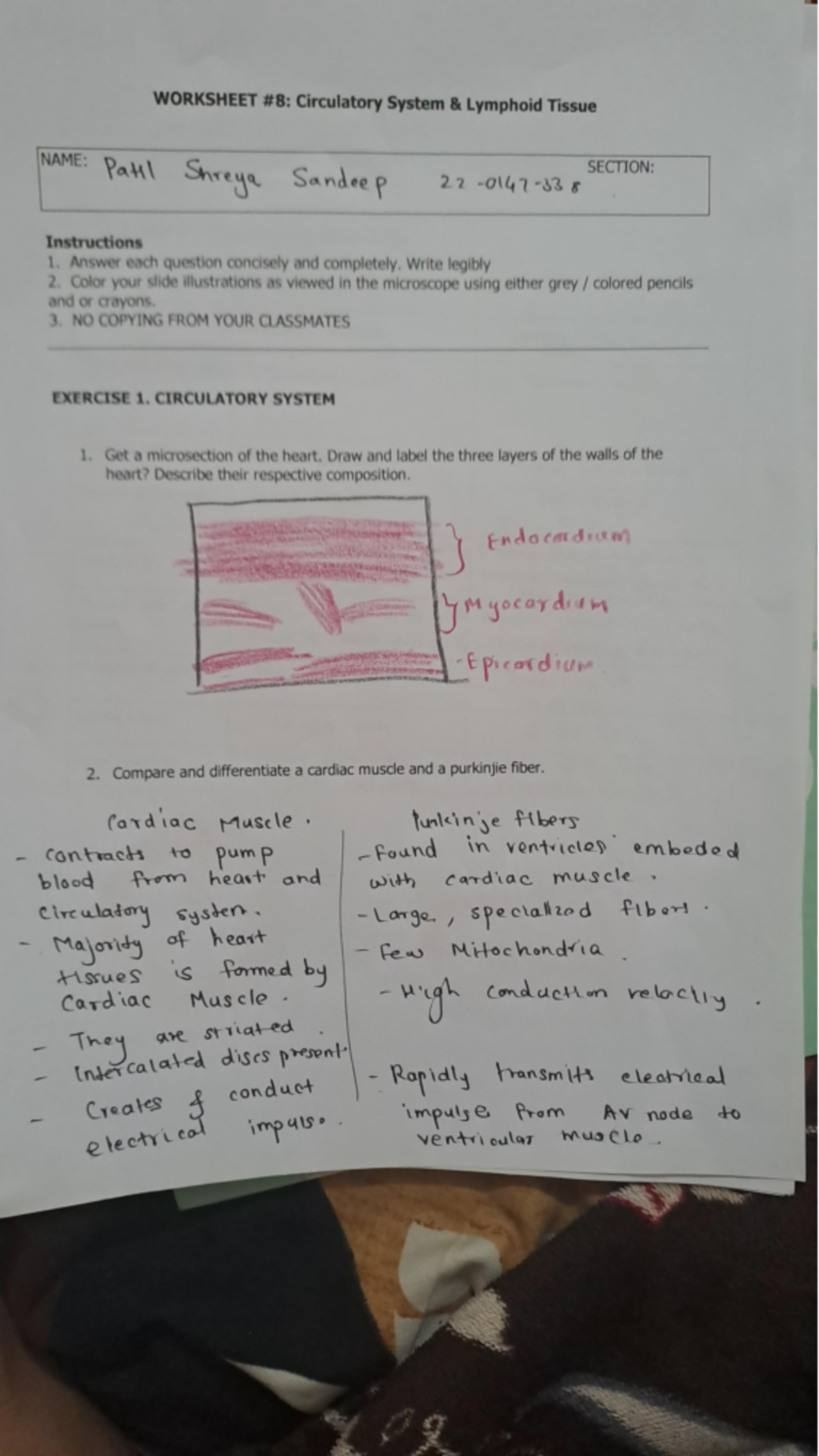 Patil Shreya Histology Worksheet - WORKSHEET #8:Circulatory System ...