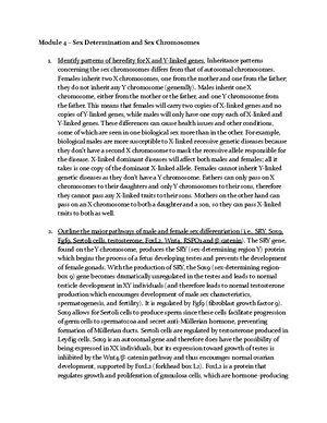 [Solved] There are three possible models for DNA replication ...