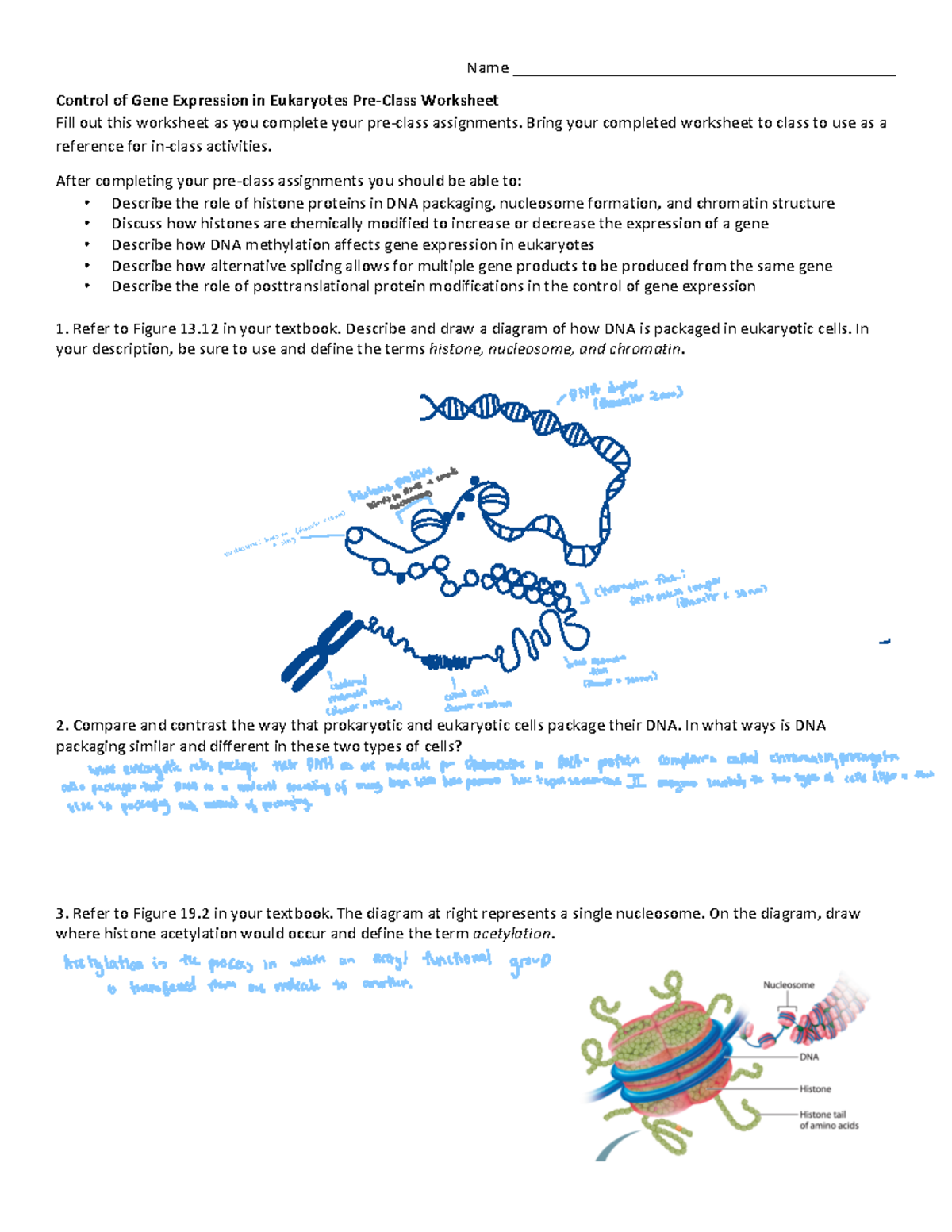 Week 8a Eukaryotic Gene Expression Worksheet - Name ...