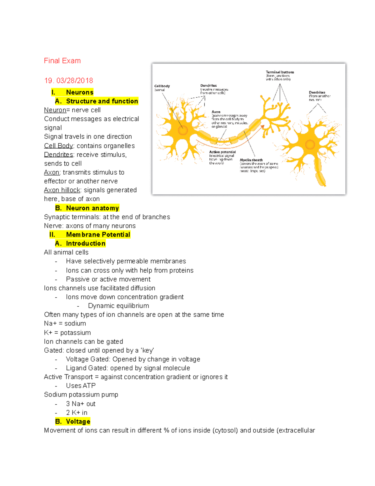 Gen bio 2 notes 17 - Final Exam 19. 03/28/ I. Neurons A. Structure and ...