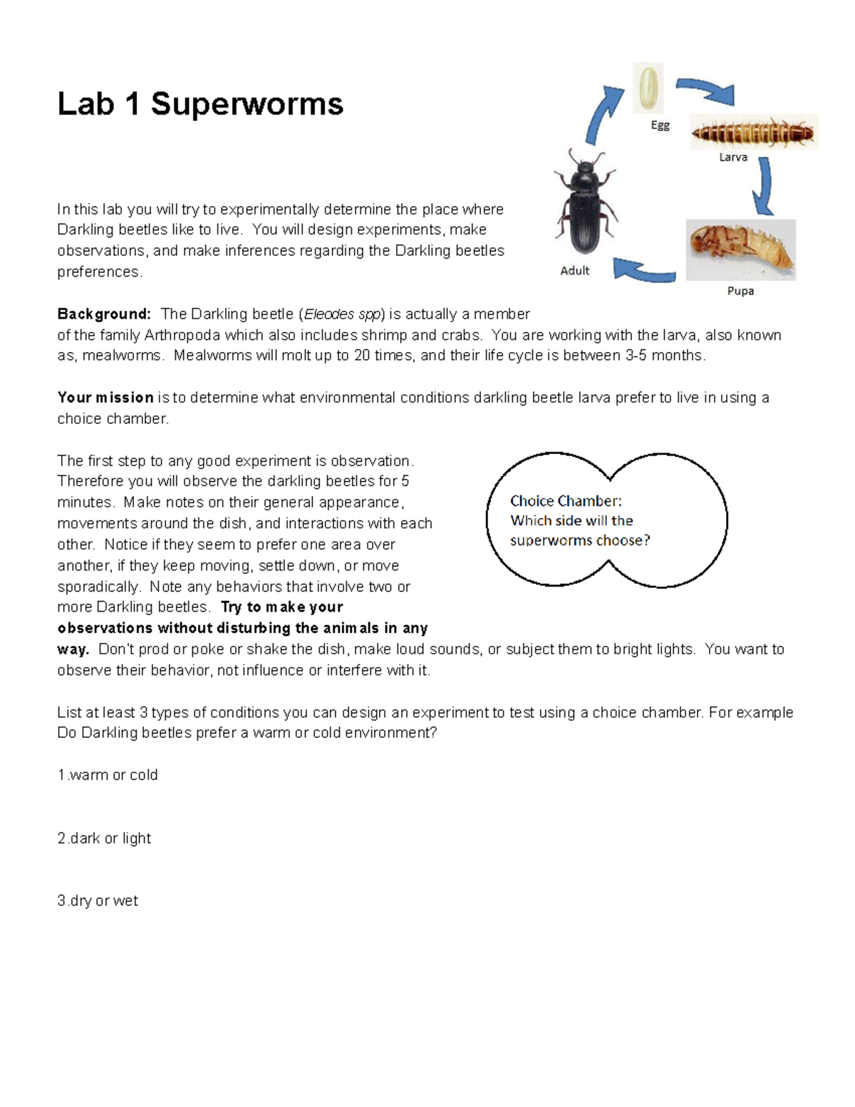 Superworm Lab - pre calc Adv practice - Lab 1 Superworms In this lab ...