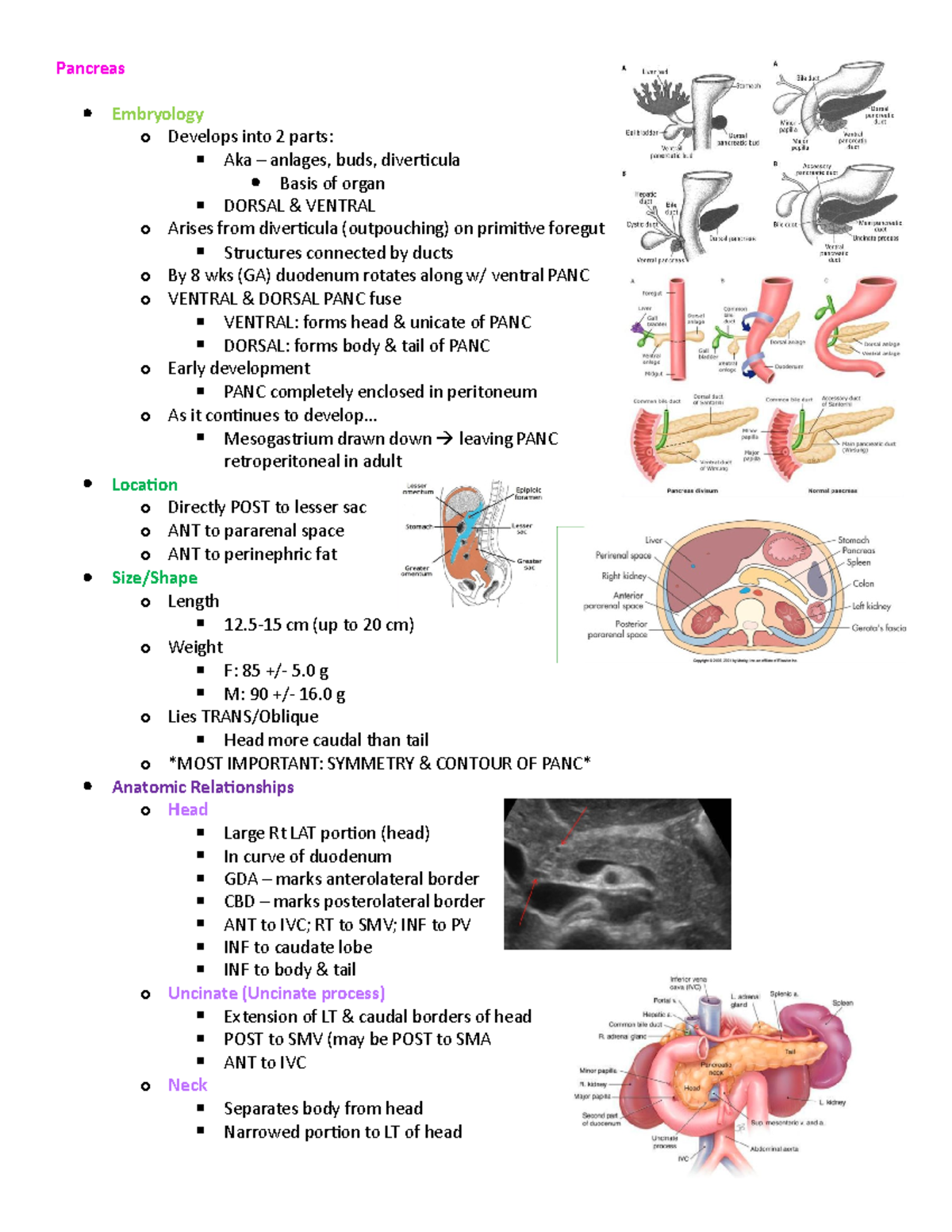 ABD II - Test #1 - Pancreas Anatomy - ULTRASOUND - Pancreas Embryology ...