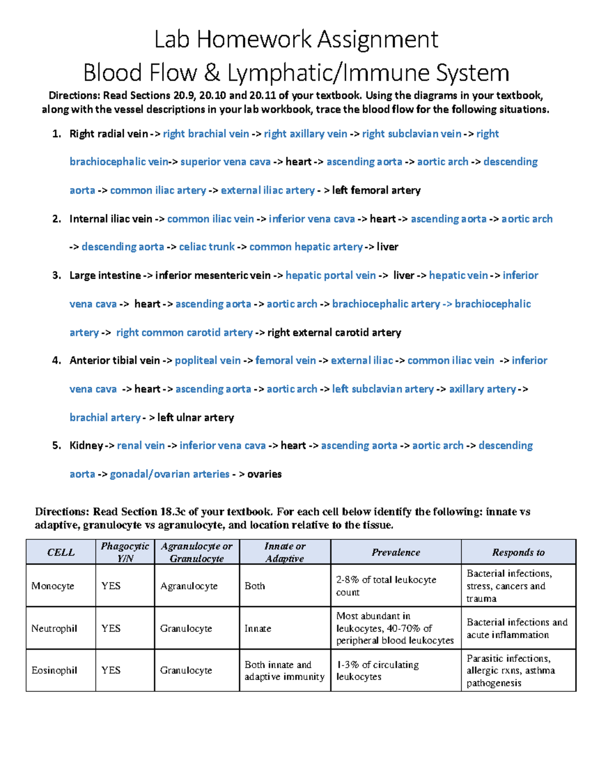 Blood Vessels & Lymphatic System Lab HW 220 - Lab Homework Assignment ...