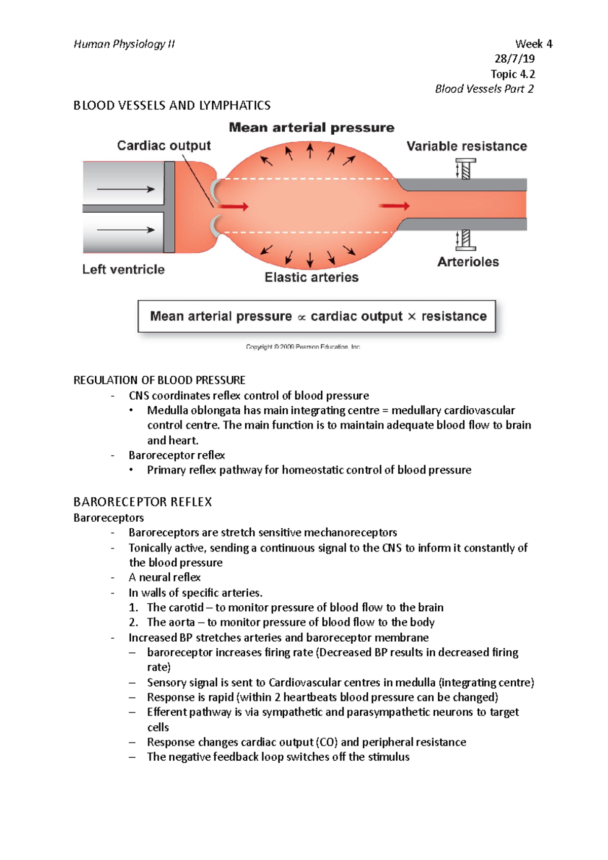 Topic 4.2 Lecture Notes - 28/7/ Topic 4. Blood Vessels Part 2 BLOOD ...
