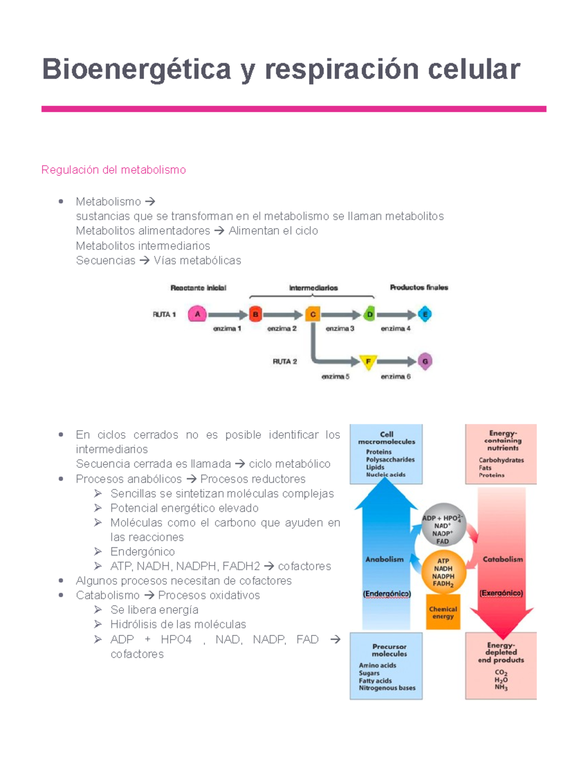 Bioenergética y respiración celular - y celular del metabolismo Metabolismo sustancias que se ...