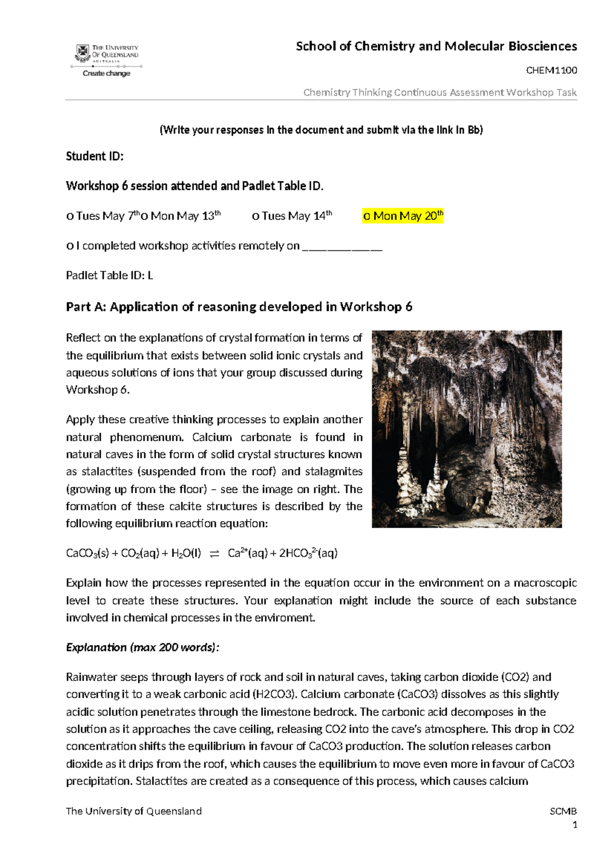 2024 Chemistry Thinking Continuous Assessment Workshop Task Final ...