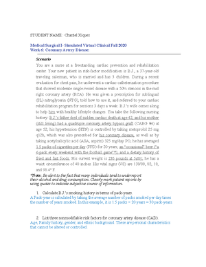 Basic Concept Guidelines for the Use of Mechanical Restraints - ACTIVE ...