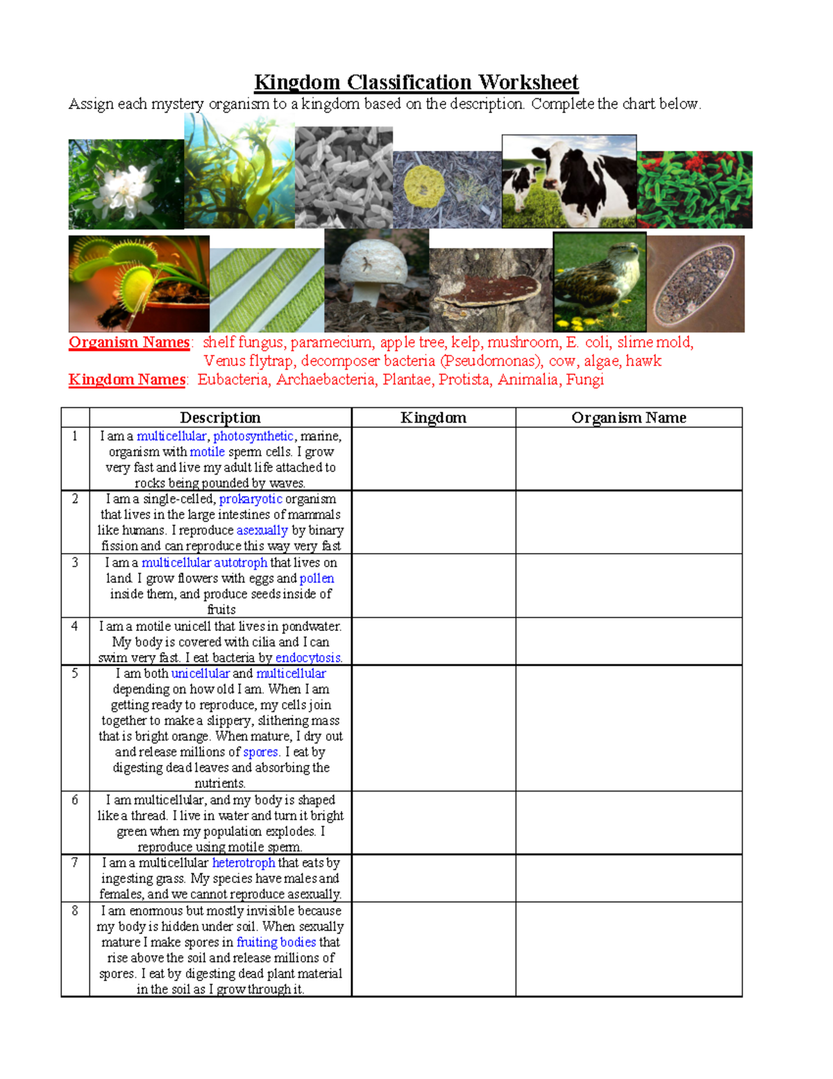 Kingdom classification worksheet - Kingdom Classification Worksheet ...