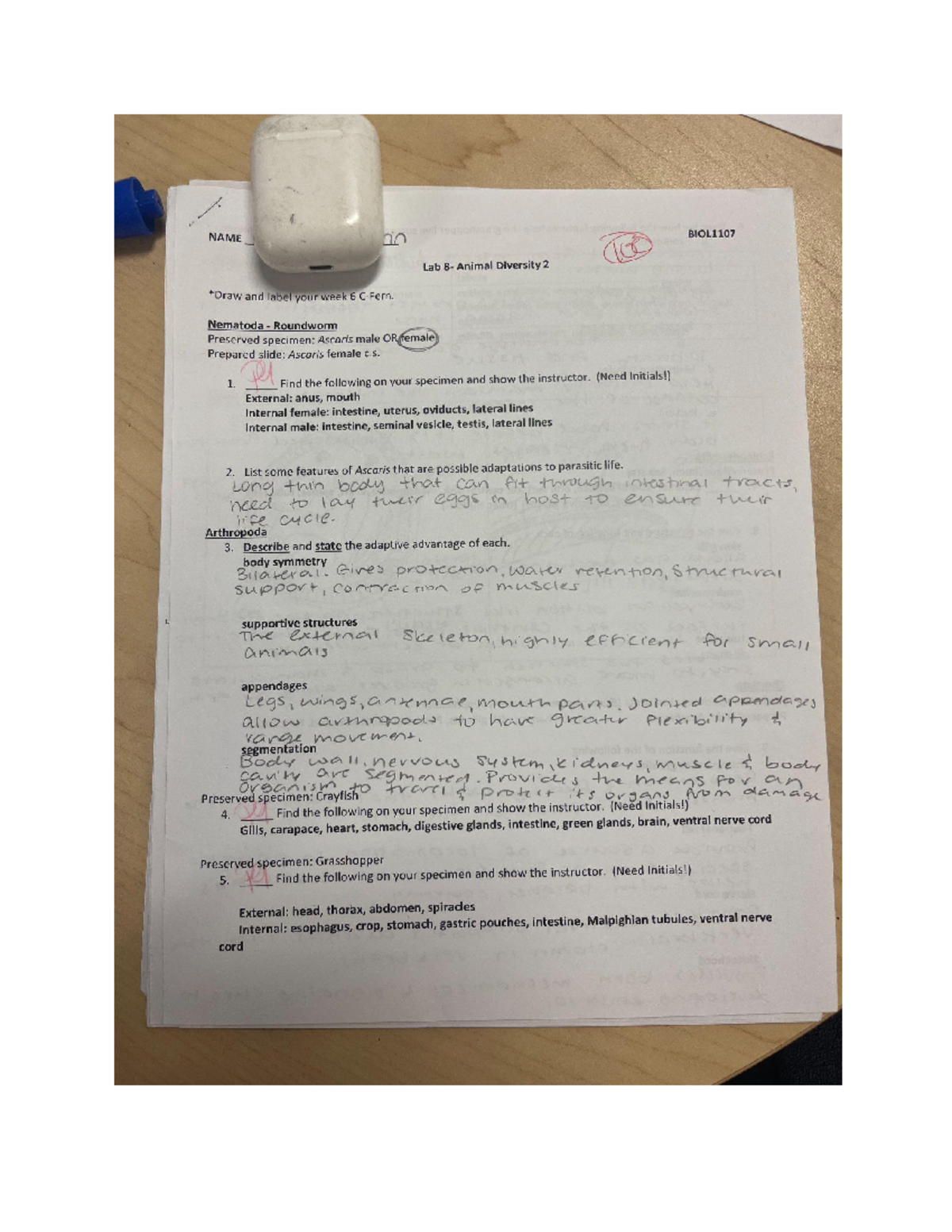 Lab 8- Bio 2 - Lab number 8 graded answers - BIOL 1107 - Studocu