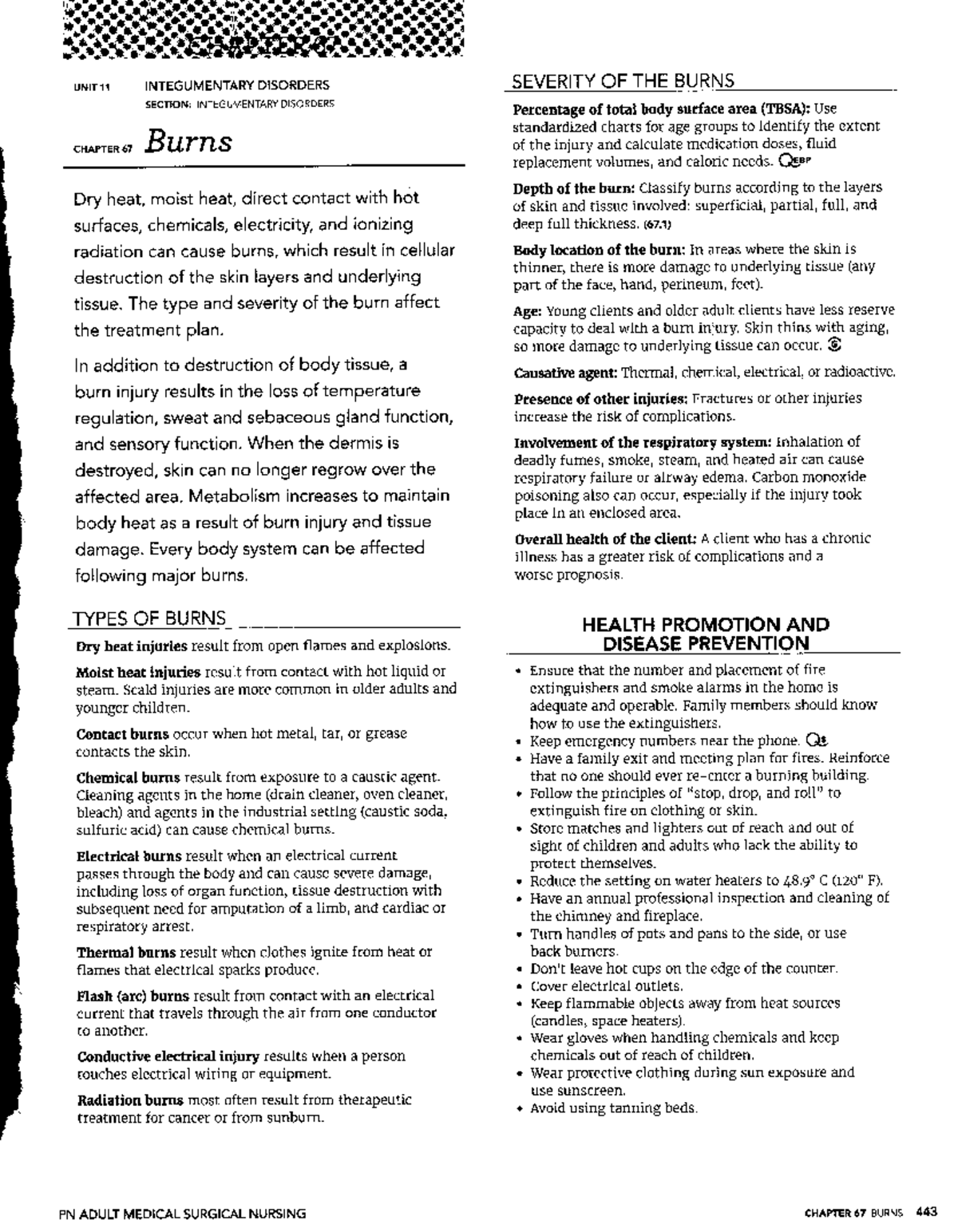 Integumentary System Burns - CHAPTER 67 UNIT 11 INTEGUMENTARY DISORDERS ...