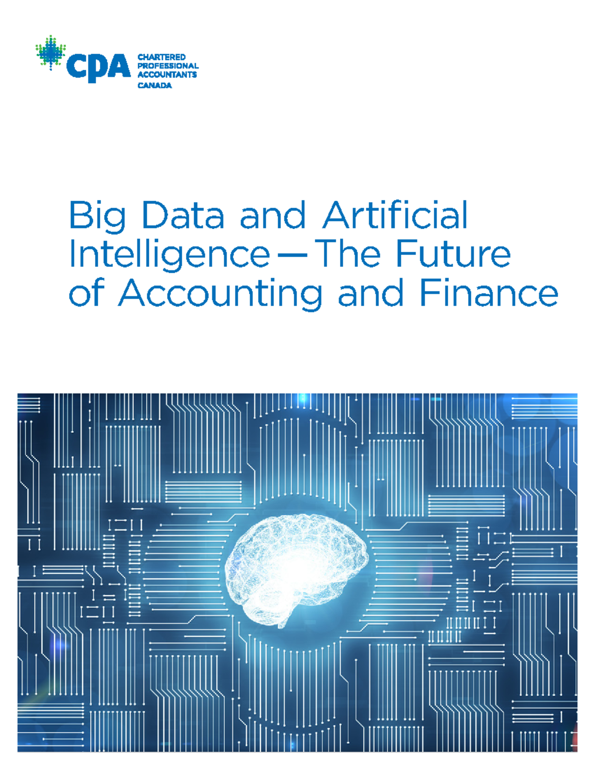 02041 RG Big Data AI Future of Accounting Finance January 2019 - Big ...