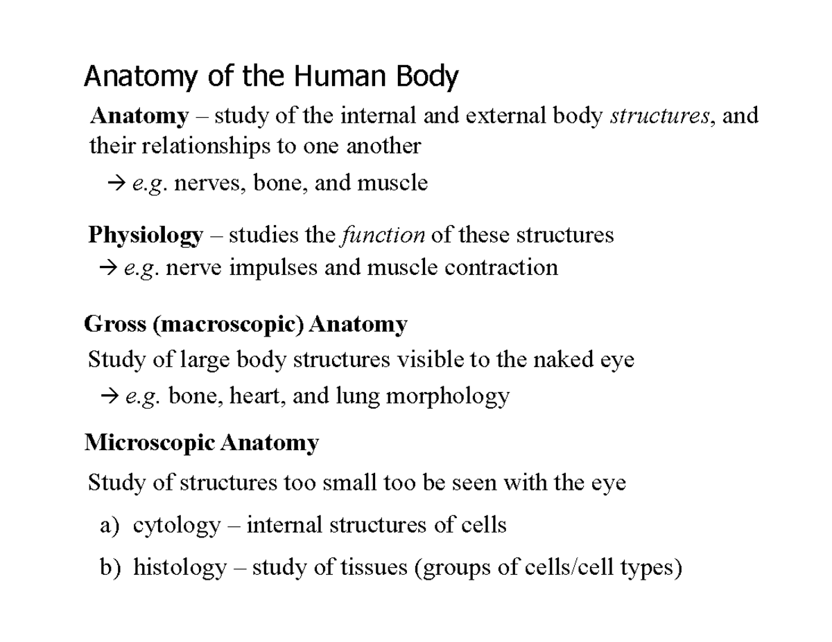 Anatomy notes week 1 - Anatomy of the Human Body Anatomy–study of the ...