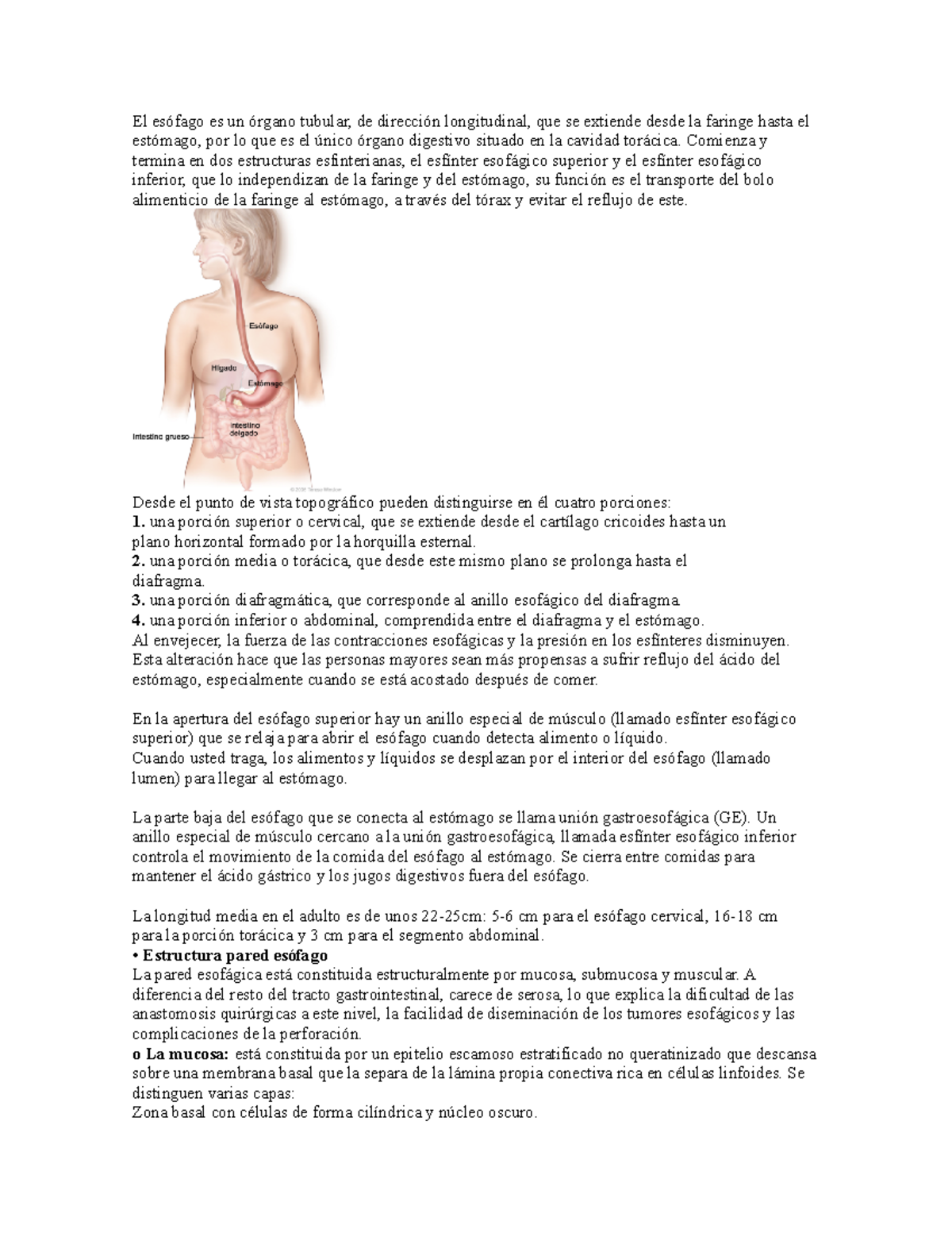 Esofago documento de morfologia , generalidades del esofago son apuntes ...