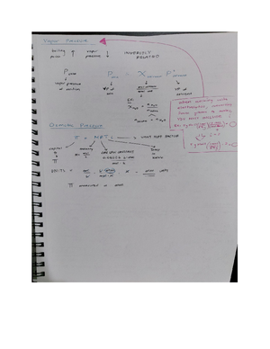 141 Gases Worksheet - Gases Worksheet Convert the following units: a ...