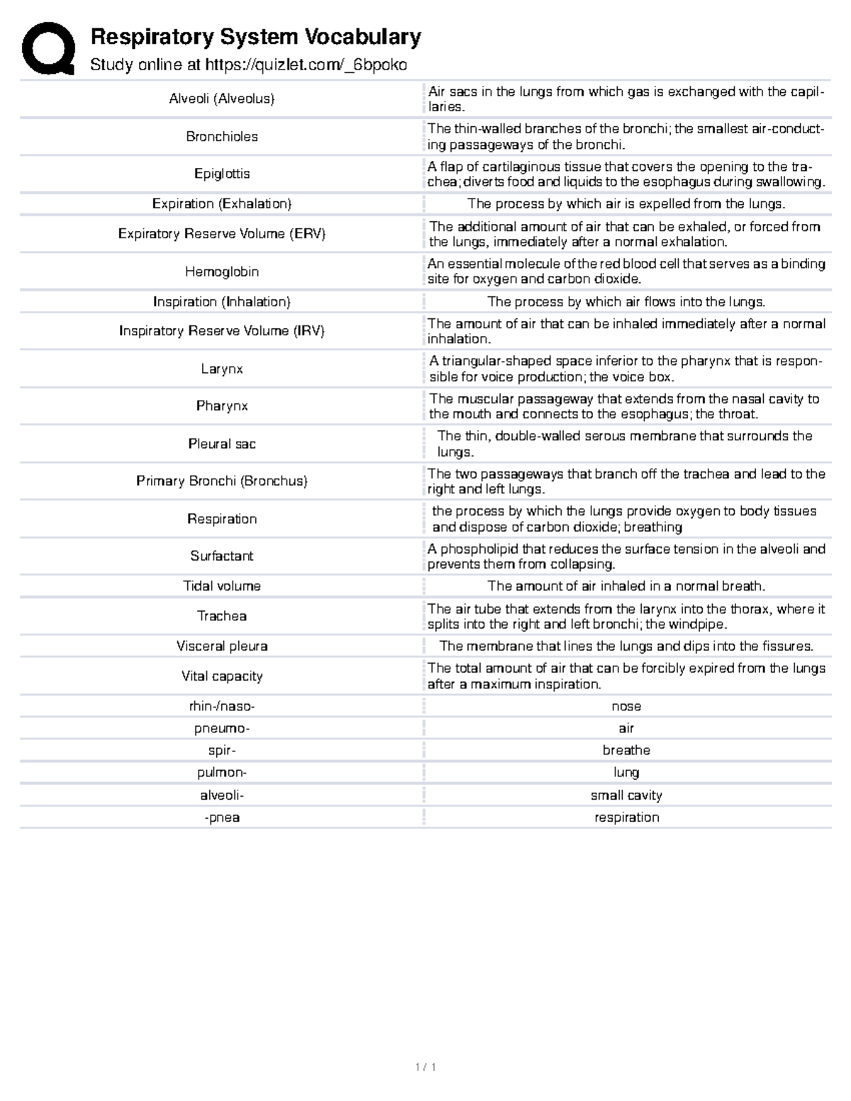 Repritory - aseff - Respiratory System Vocabulary Study online at ...