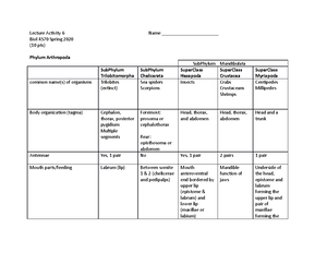 Study guide marine - on phylums cnidaria - Phylum Porifera: suspension ...