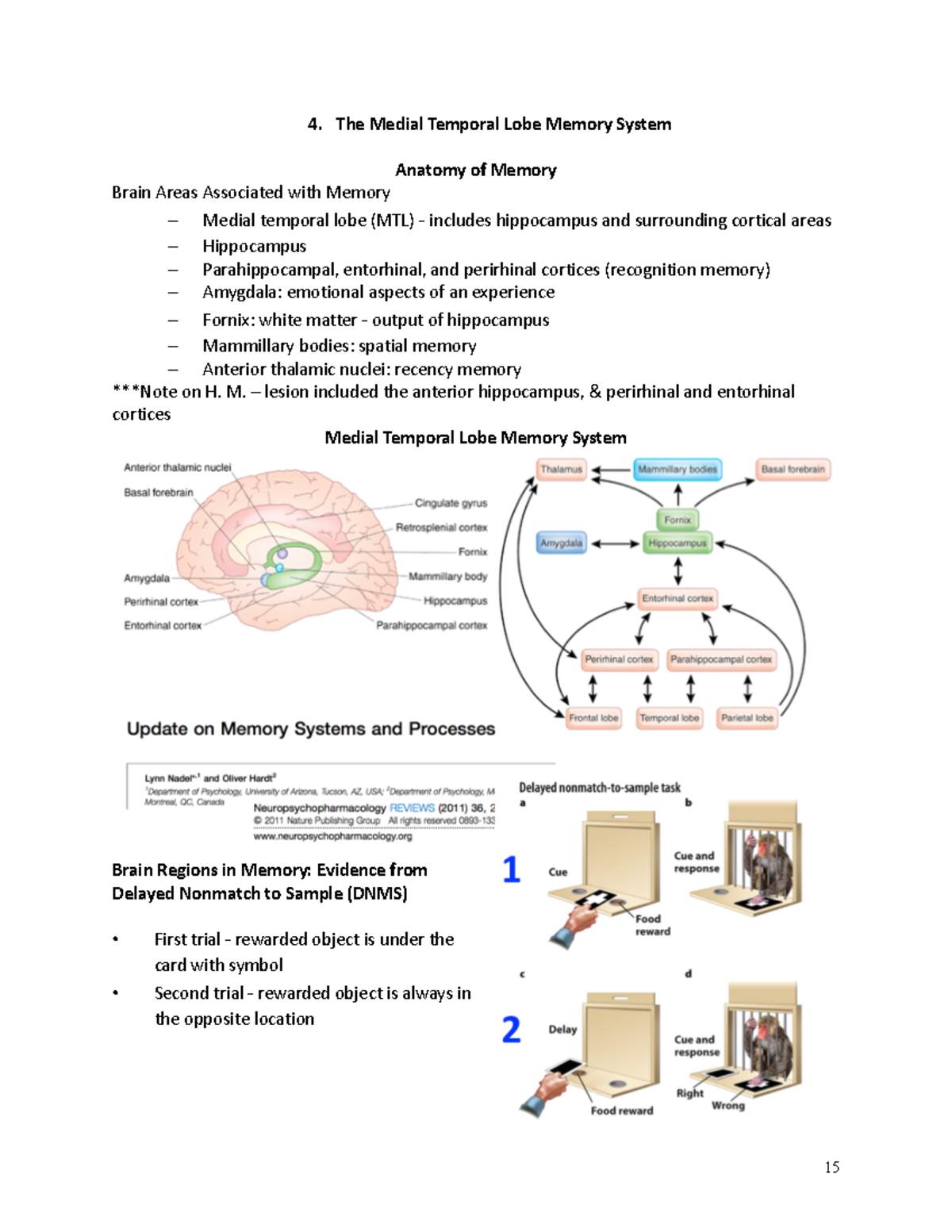 Chapter 9 Notes Part 4-6 - 4. The Medial Temporal Lobe Memory System An ...