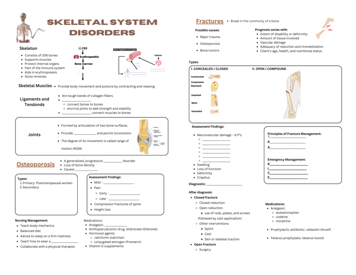 Skeletal - Notes - SKELETAL SYSTEM Fractures Break in the continuity of ...