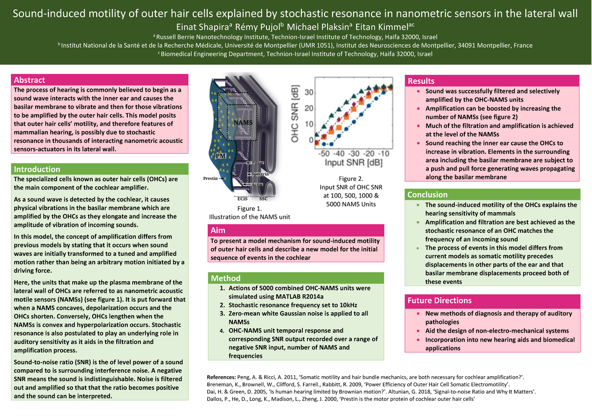 Poster Assignment - Sound-induced motility of outer hair cells ...